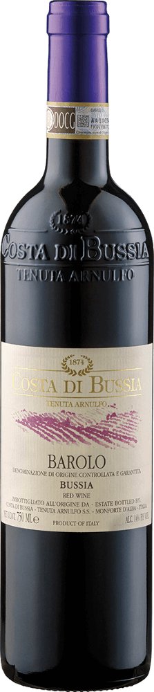 Costa di Bussia Barolo Riserva DOCG 2019 | vinisto.cz